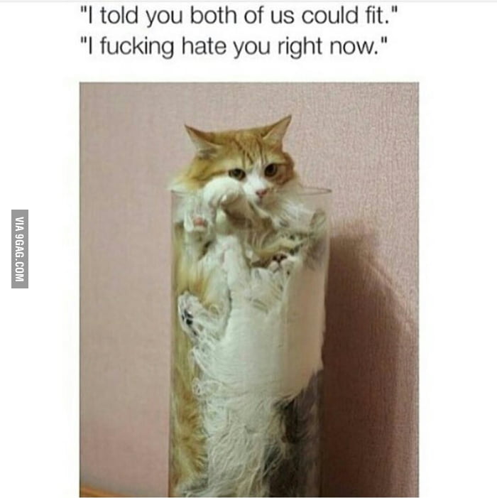 You Just Know Who s Voice Is Whose 9GAG you-just-know-who-s-voice-is-whose-9gag
