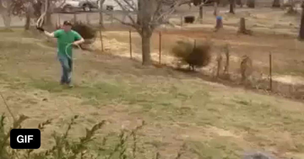 Cowboy Jousting - 9GAG