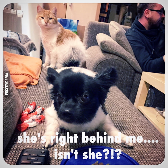 She's right behind me... - 9GAG
