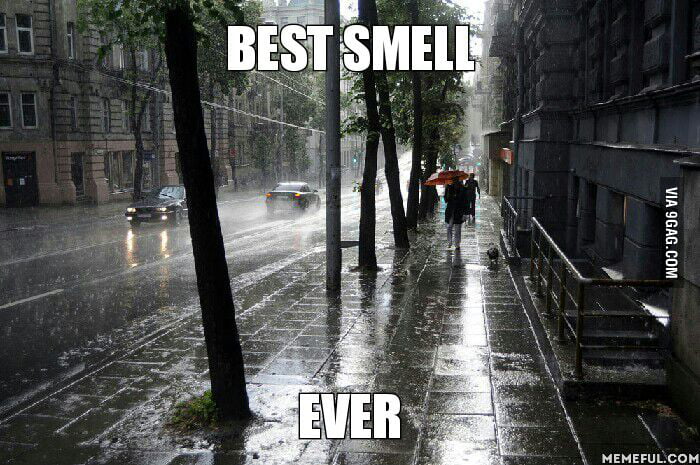 Am I the only one who thinks so? - 9GAG