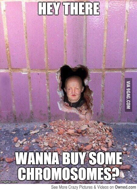 Heard y'all liked those zesty memes. - 9GAG