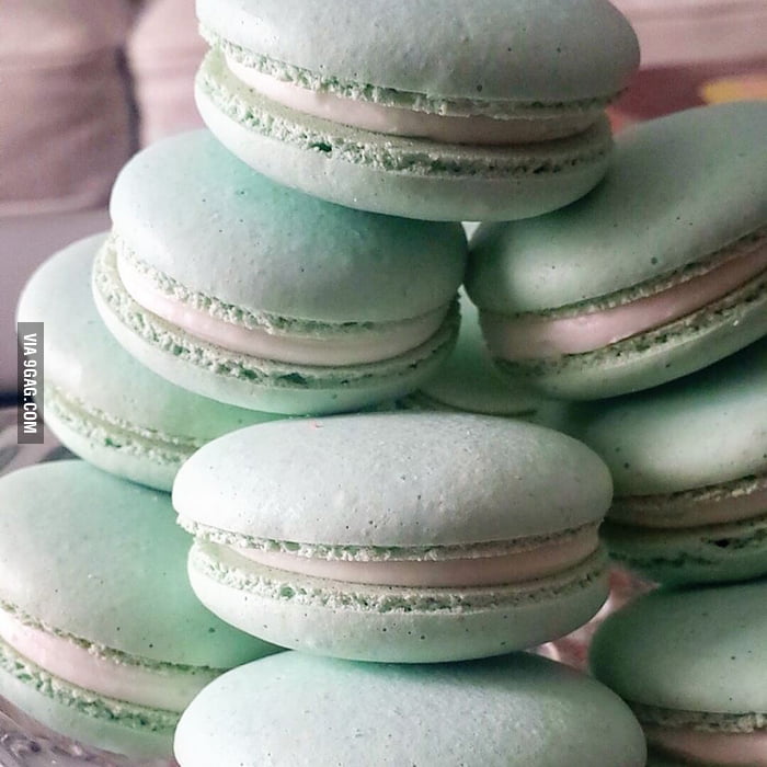 I Baked Some Vanilla Macarons in Aqua Blue - 9GAG