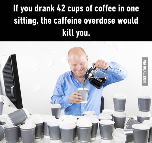 42 is the answer for everything - 9GAG