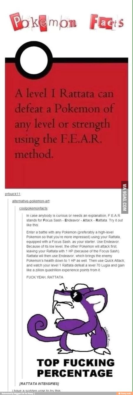 FEAR THE RATTATA - 9GAG