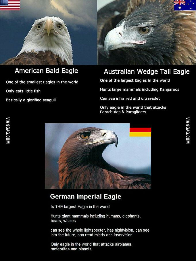 To the other guy with the eagles..... - 9GAG