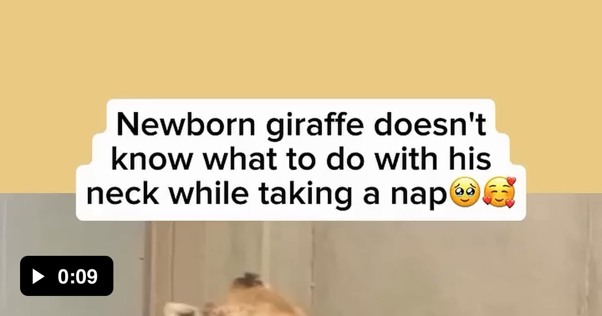 Giraffe's neck - 9GAG