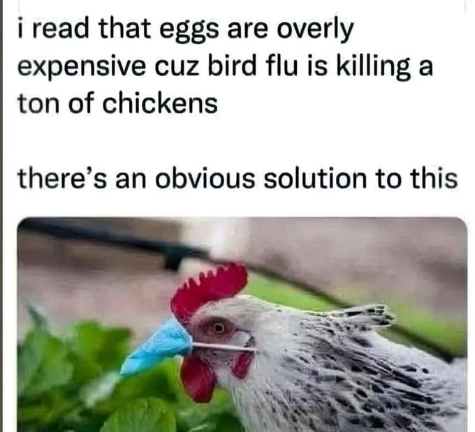 Just make the chickens wear little tiny masks! - 9GAG