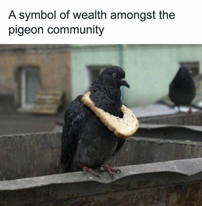 I know this Pigeon’s last rap album came out in 89’, but for me he’s ...