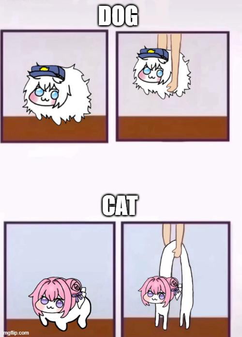 All cats are liquid, right? - 9GAG