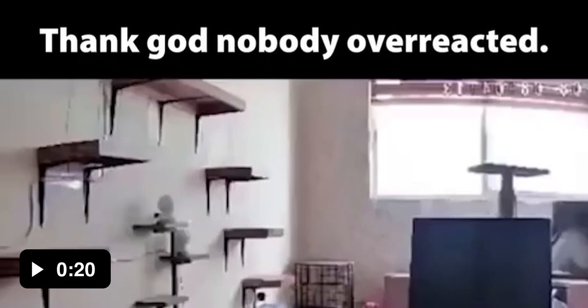 Completely normal phenomenon. - 9GAG