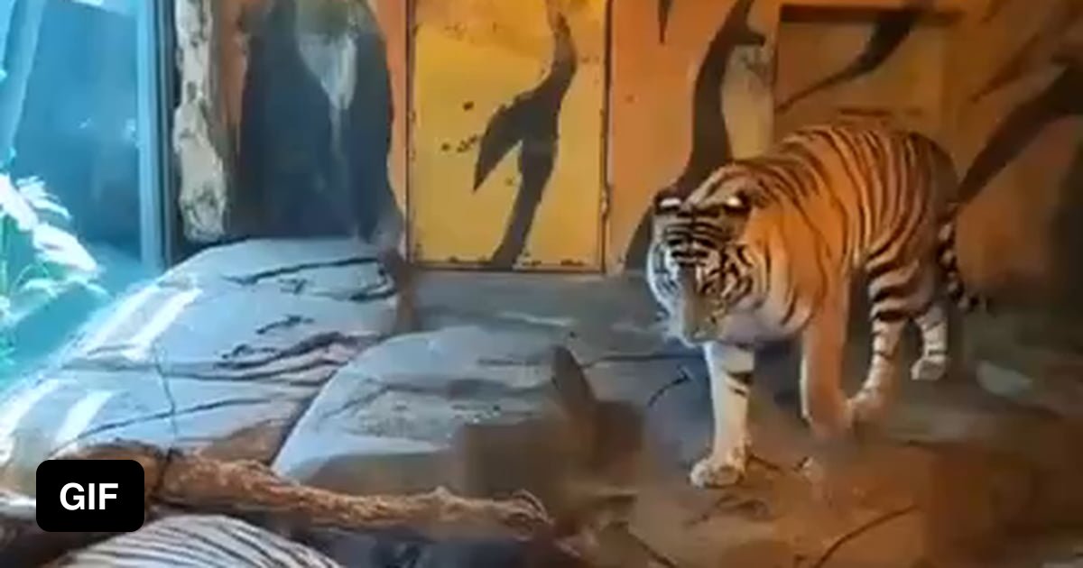 Move That Side - 9GAG