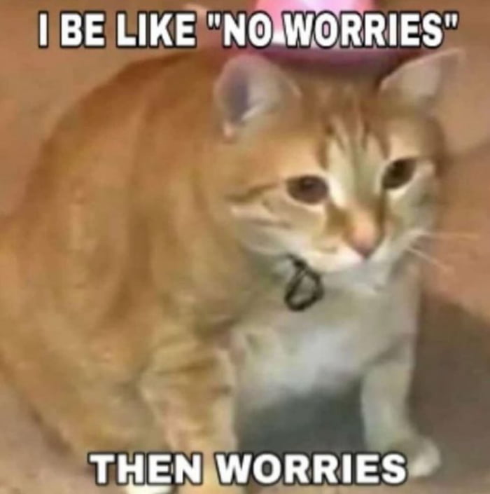Coping: Cat Edition - 9GAG