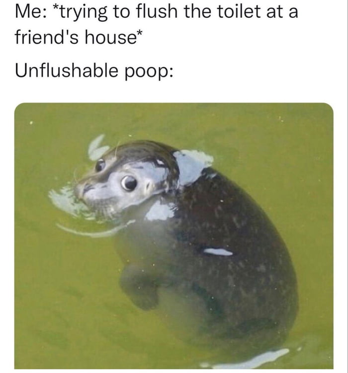 Same when you take a poop at your lover‘s - 9GAG