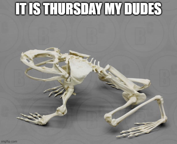 Spook, it's a dead Wednesday - 9GAG