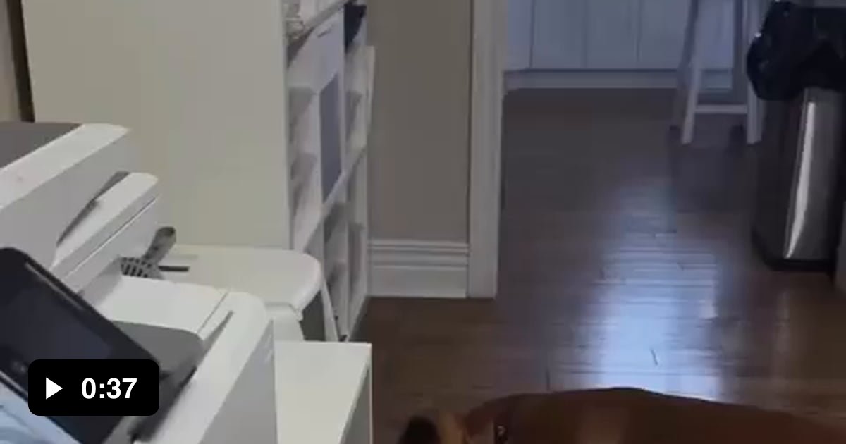 2 boxers squaring up with each other. - 9GAG