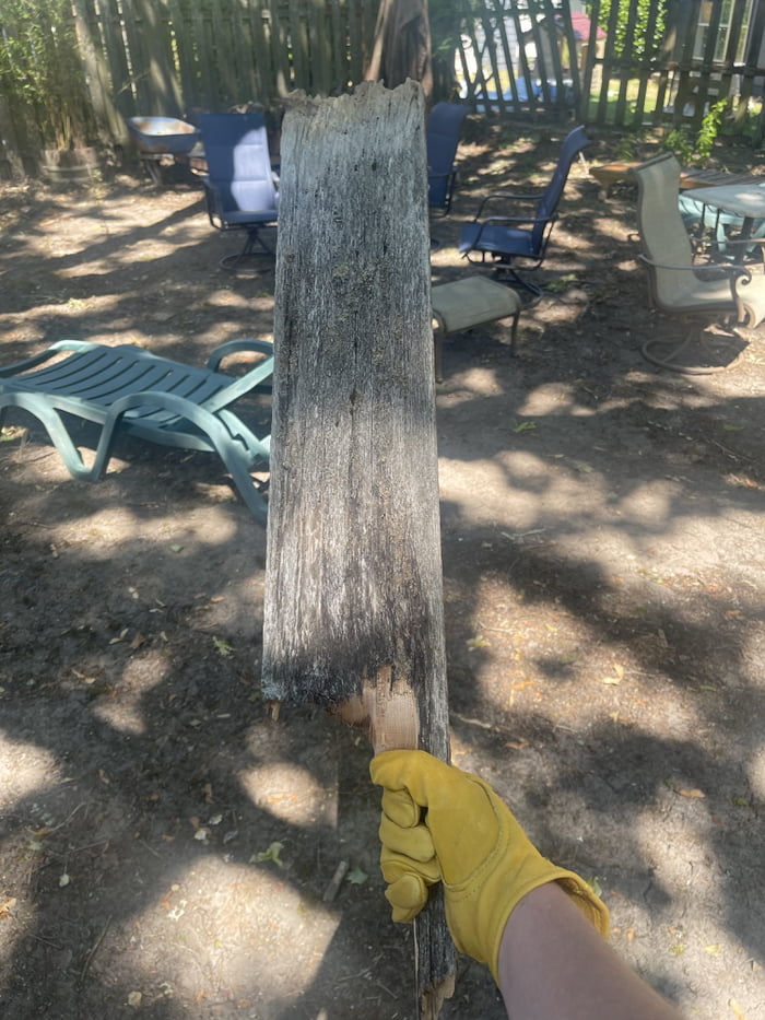 We still posting sticks that look like swords? - 9GAG