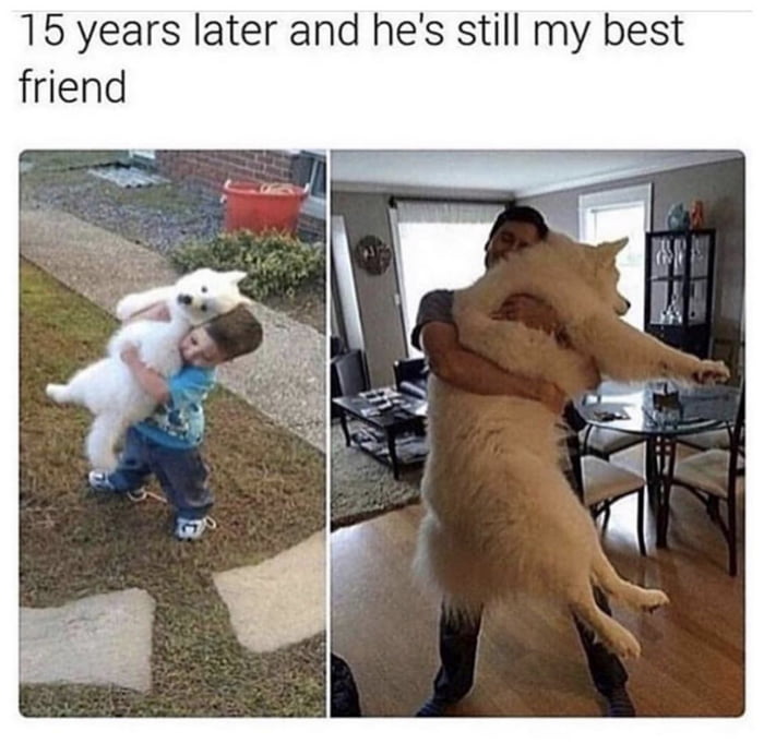 Unwavering best friend - 9GAG
