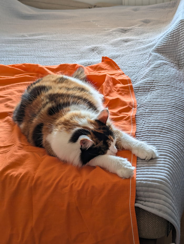 Sleepy Sunday - 9GAG