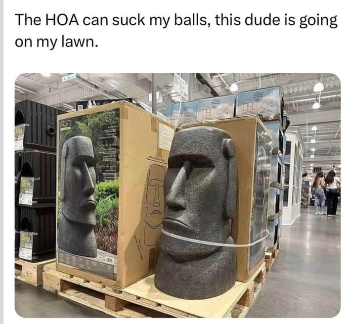 Suck ma balls kevin,suck ma balls - 9GAG