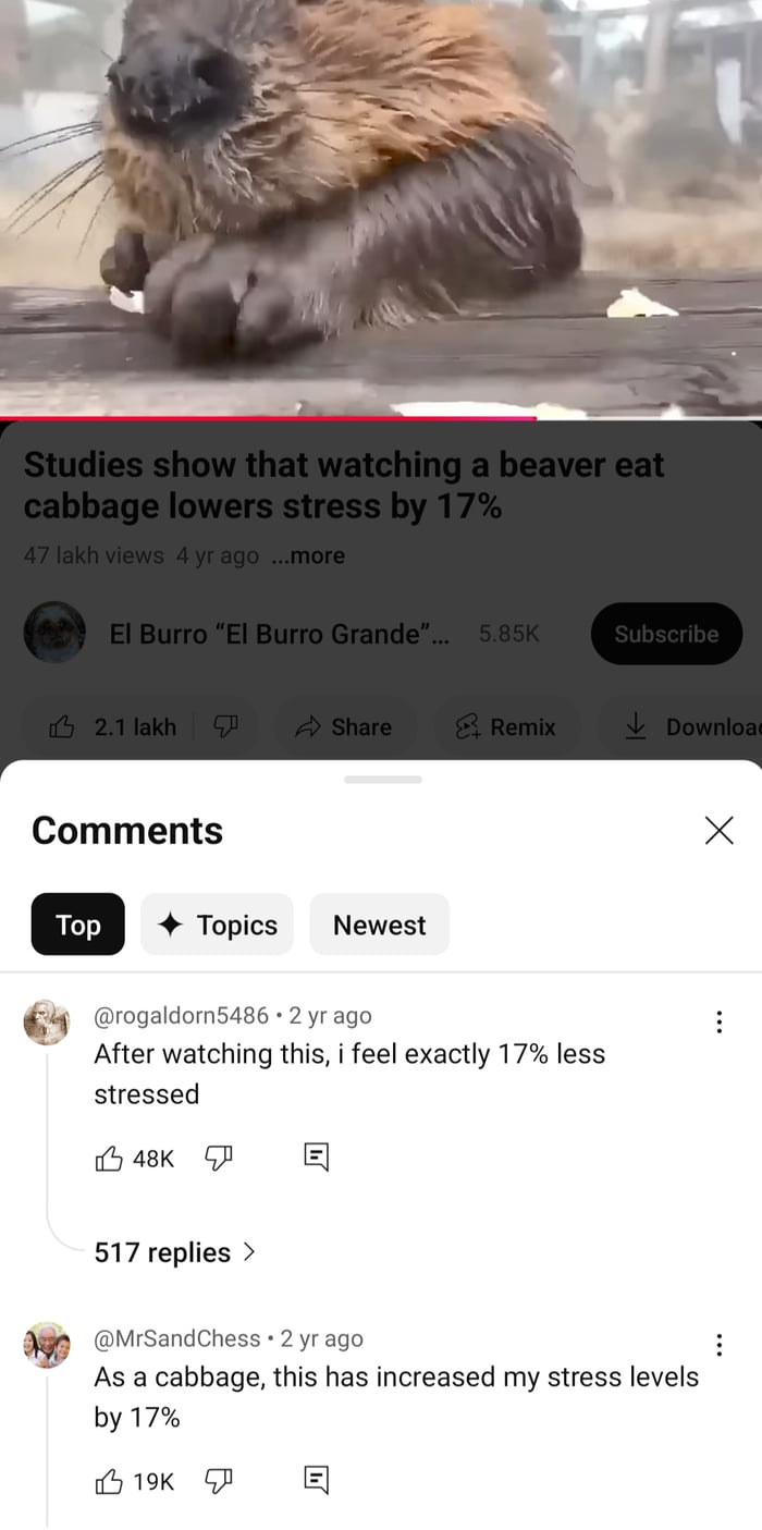 The Ultimate Pro Ultra Max Z100 Stress Buster - 9GAG