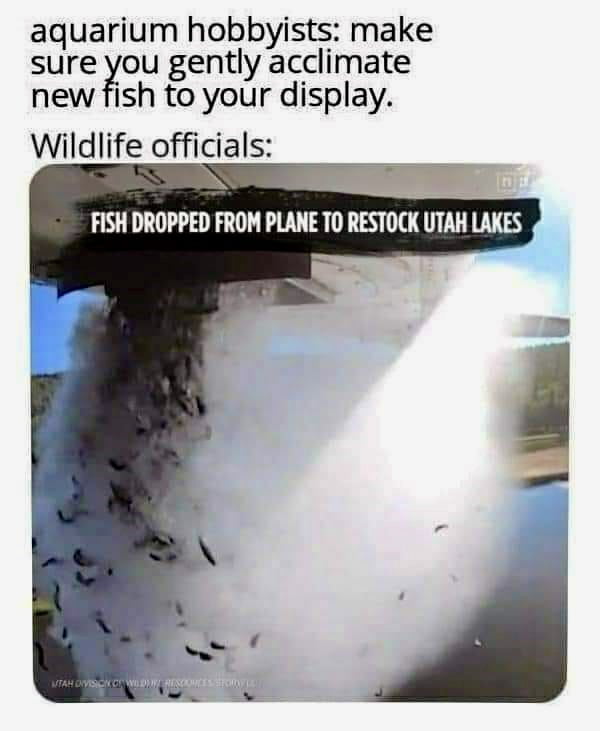 And the fish says "WTF!" - 9GAG