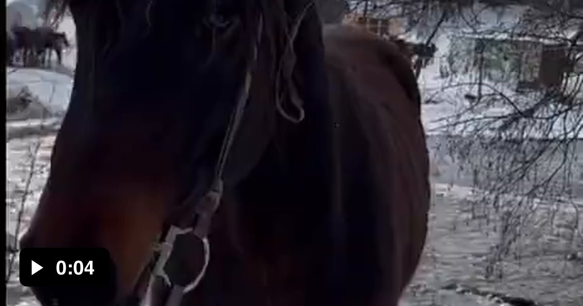 Lets go for a ride! - 9GAG