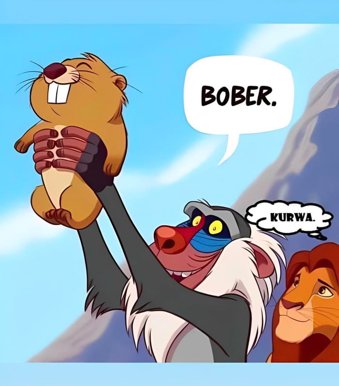 Bóbr!!! - 9GAG