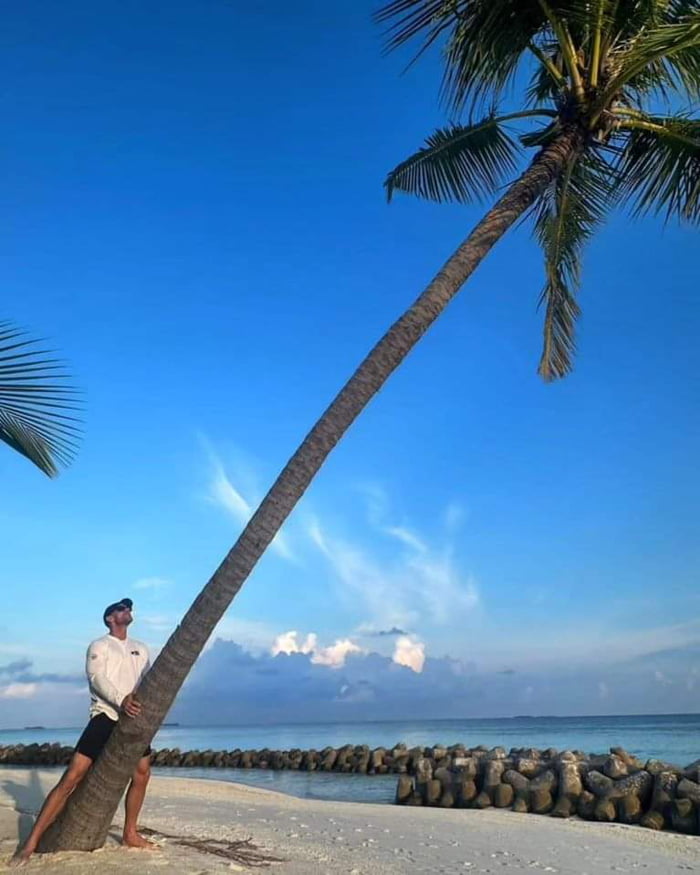 Jonny fuvk a coconut tree - 9GAG