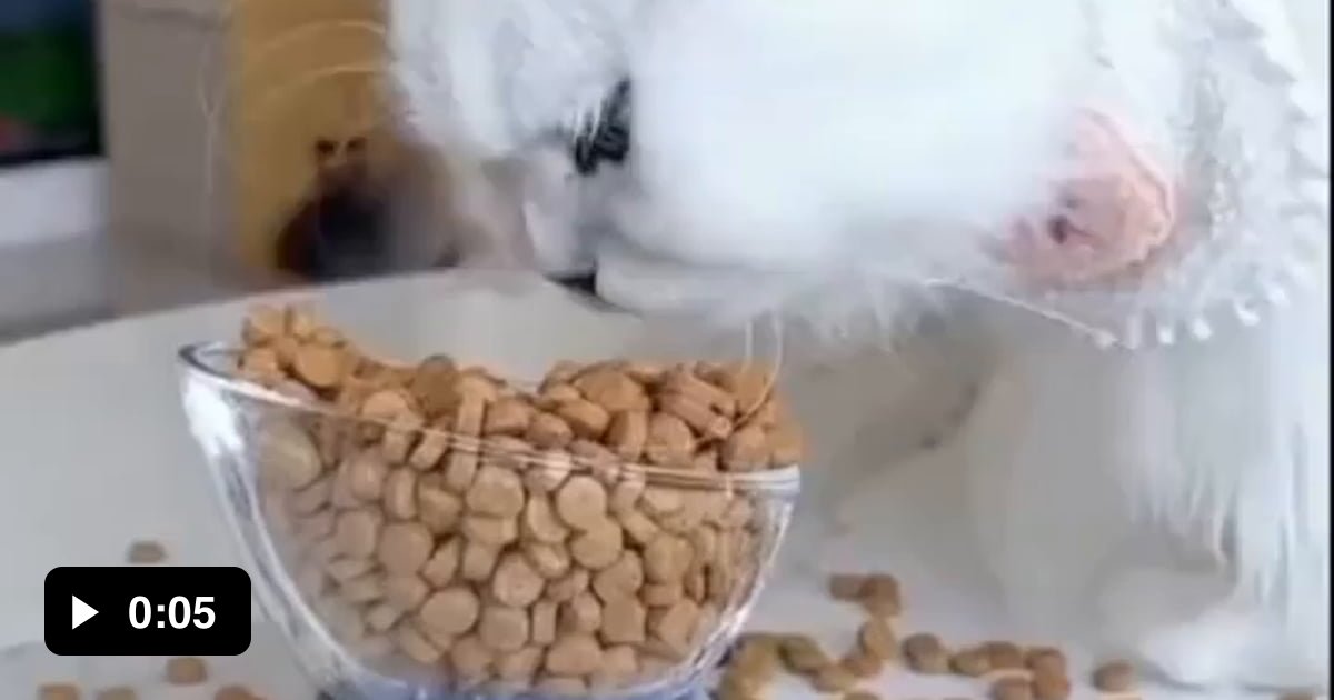 A little bite - 9GAG