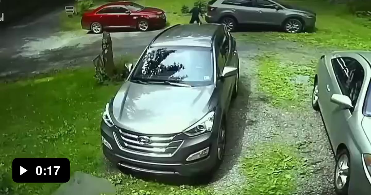 Relax, nothing is under control. - 9GAG