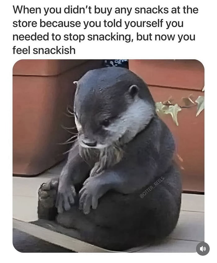Me convincing myself I don't need snacks vs. 5 minutes later - 9GAG