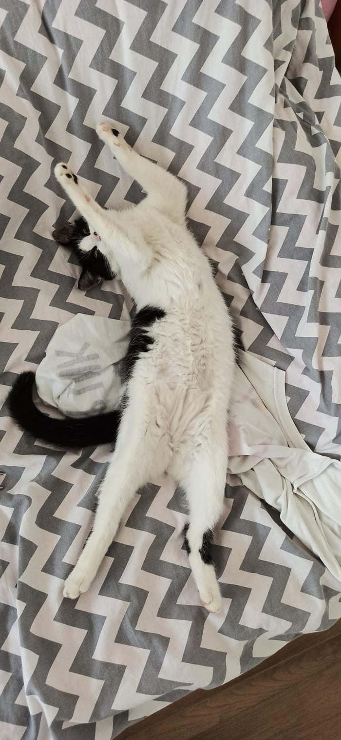 Biiig stretch! - 9GAG