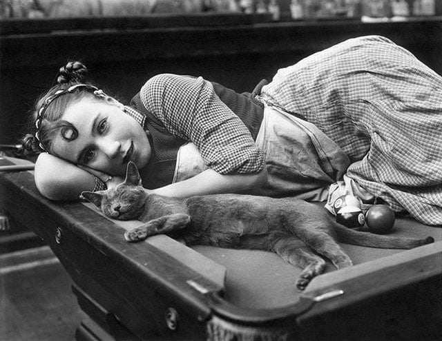 Pepper, acknowledged as Hollywood's first cat actor, resting on set ...