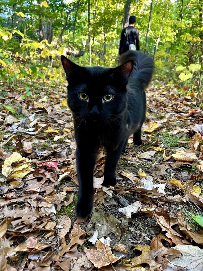 He loves his hikes 🥰 - 9GAG