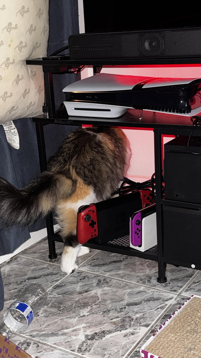 Professional Bugfinder - 9GAG