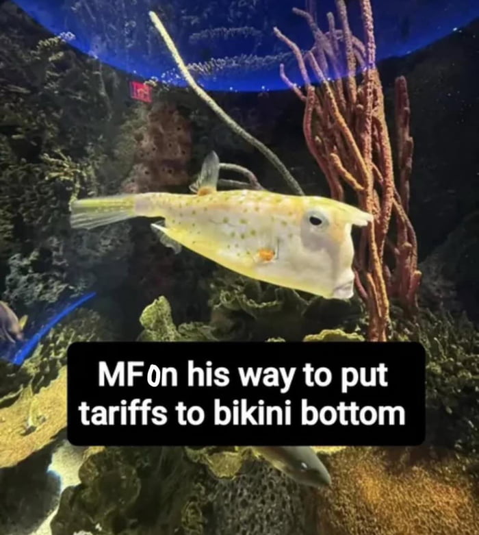 Unfortunate looking fish - 9GAG