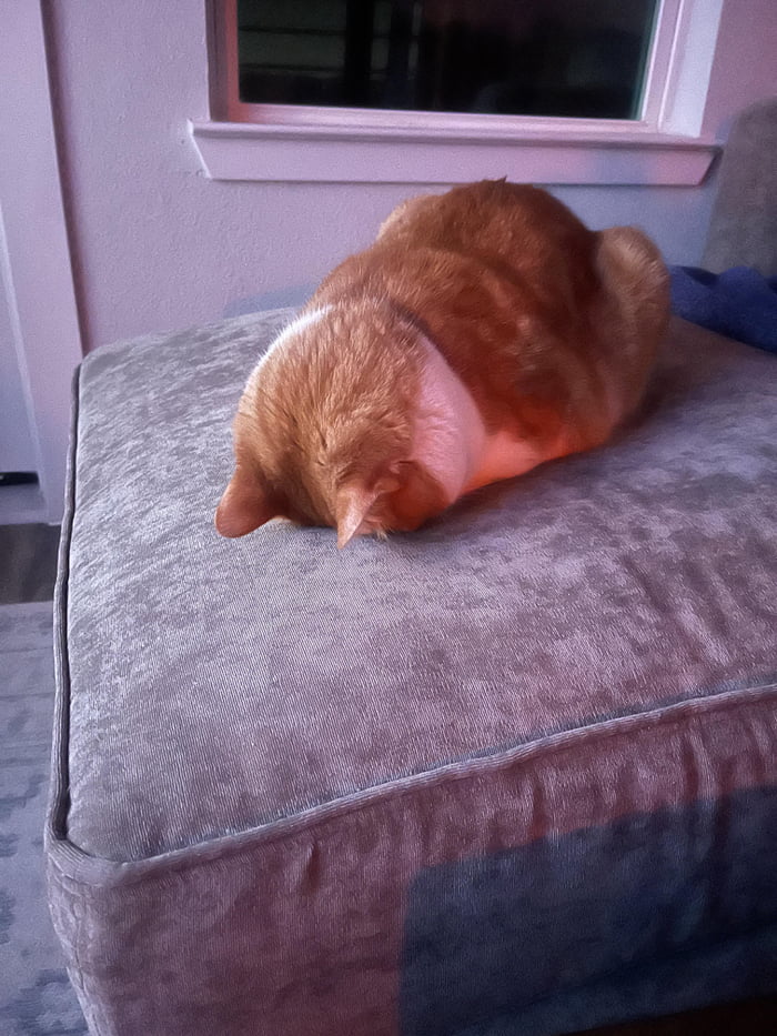 Linus shutting down for the evening - 9GAG