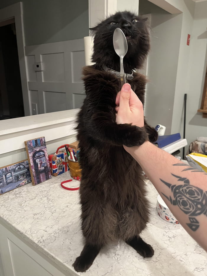 The Creature is Ravenous - 9GAG