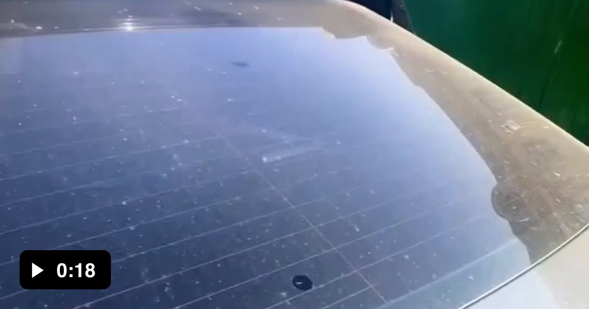 Story of the one feather - 9GAG