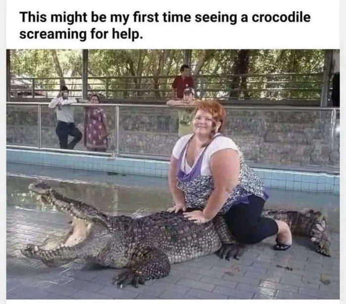 Funny because it's fat. The croc looks good though - 9GAG
