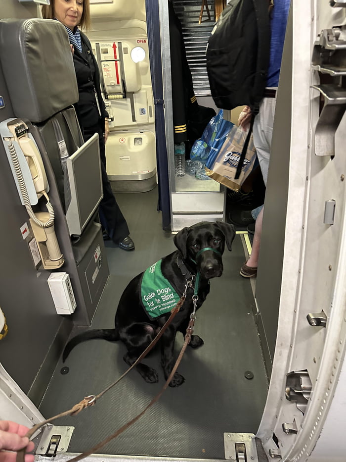 Kaiser’s first flight! - 9GAG