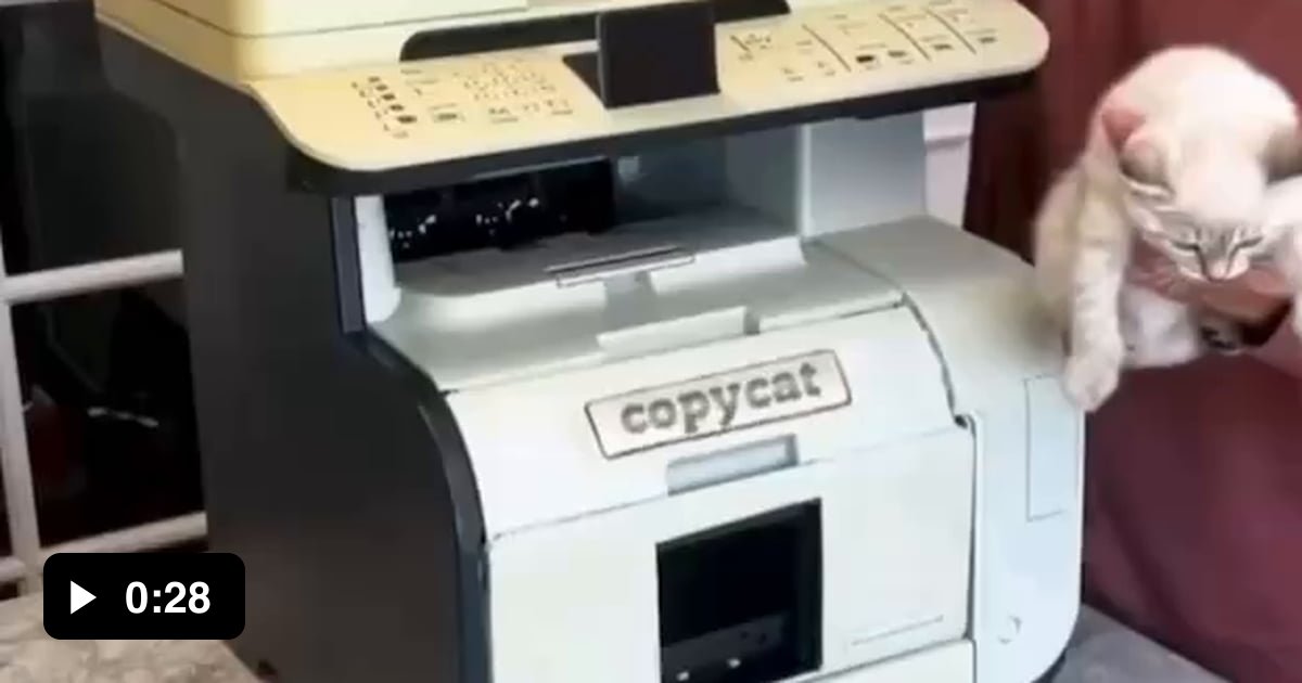 Where Can i Get this Printer - 9GAG