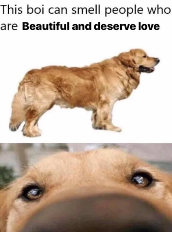 I needed this yesterday - 9GAG