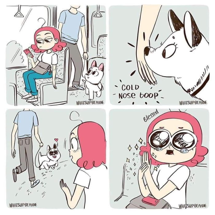 Love on first boop - 9GAG