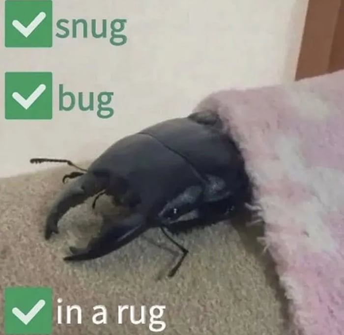 This little guy knows how to chill. Snug as a bug, literally - 9GAG