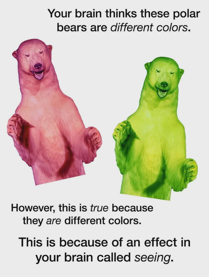 Your brain thinks these polar bears are different colors. However, this ...
