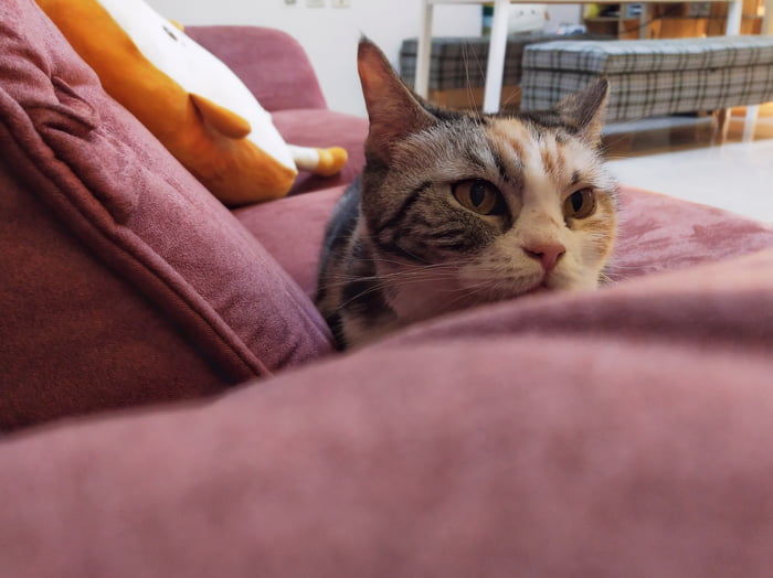 No one read this. - 9GAG