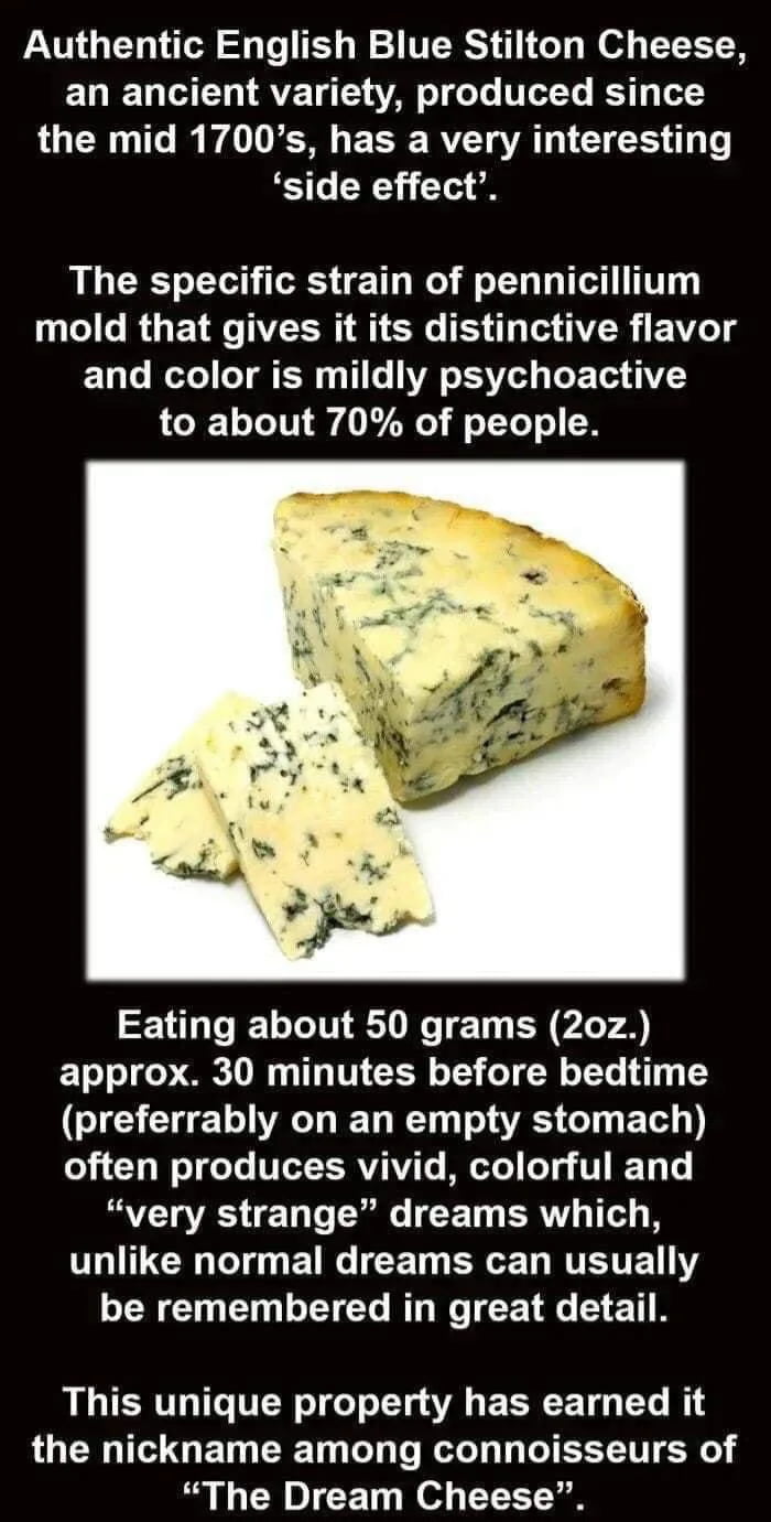 I dream of cheese - 9GAG
