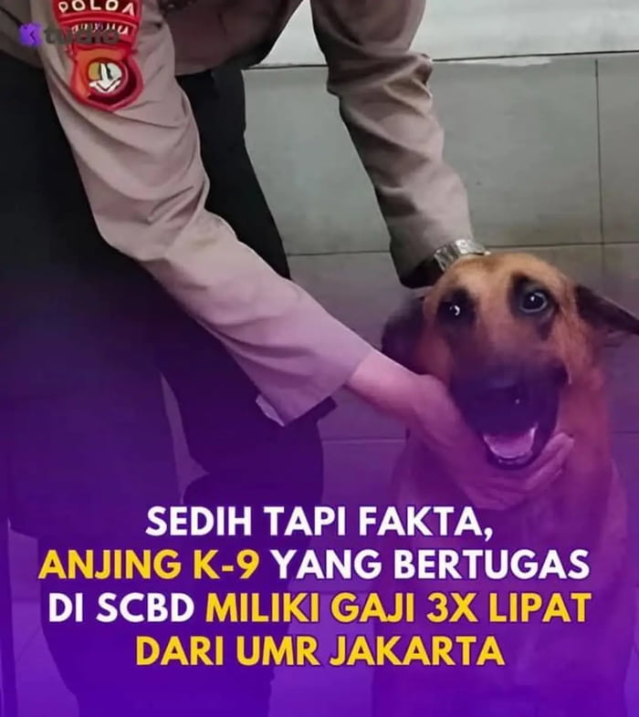 Sebagai FYI aja - 9GAG