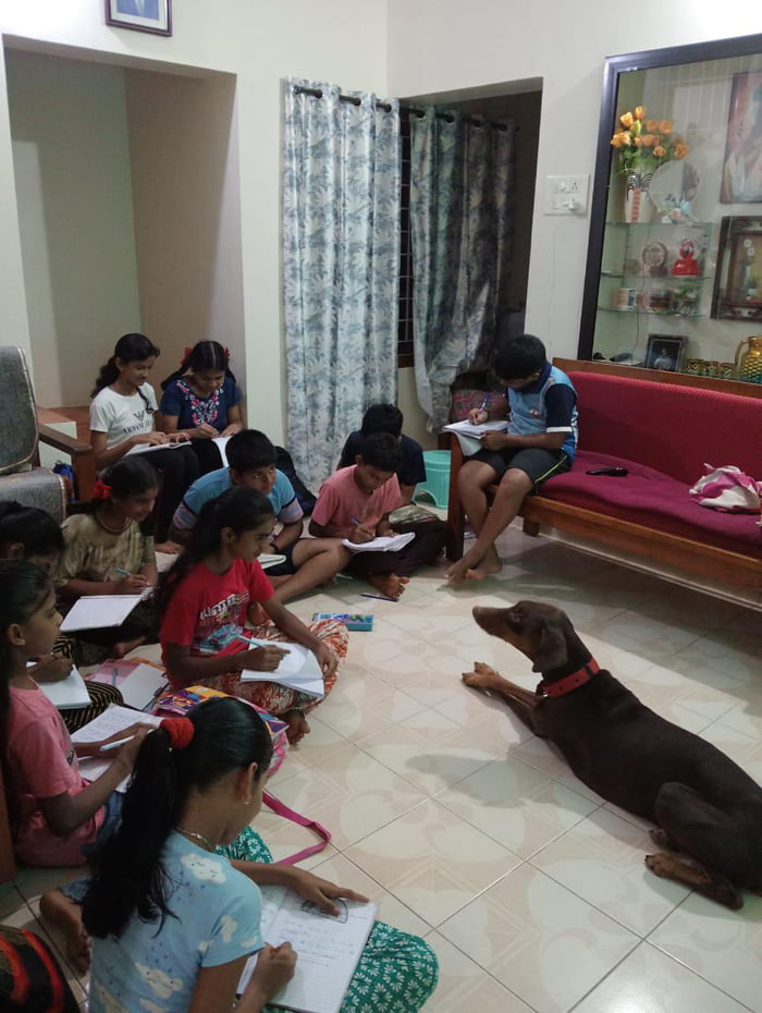 Study buddy reporting for duty, offering woofs of wisdom. - 9GAG